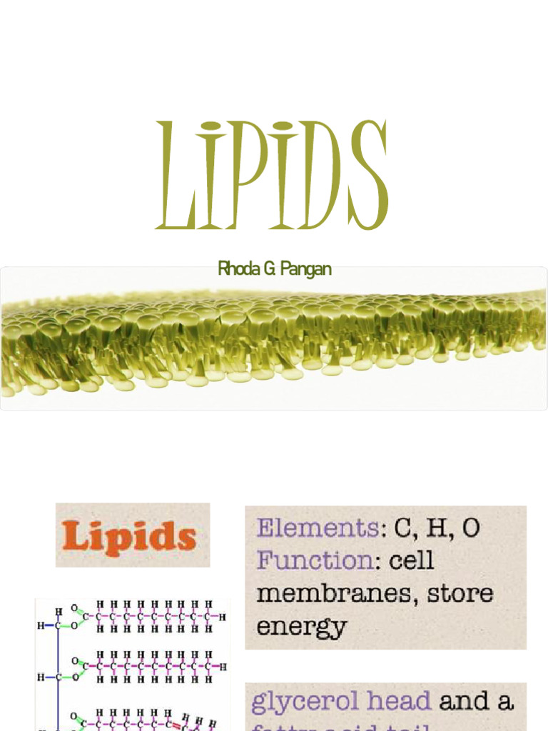 Lipids | PDF