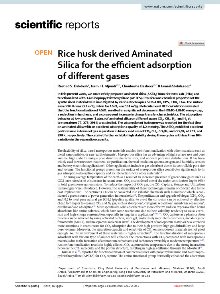 Rice Husk-Derived Animated Silica For Adsorption of Gases | PDF ...