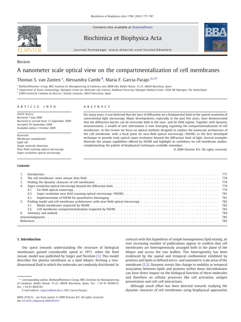A Nanometer Scale Optical View On The Compartmentalization of Cell ...