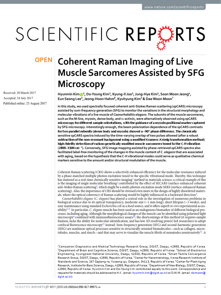 Coherent Raman Imaging of Live Muscle Sarcomeres Assisted by SFG Micros ...