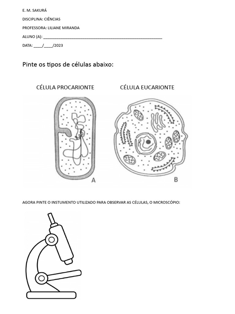 Células Atividade Adaptada | PDF