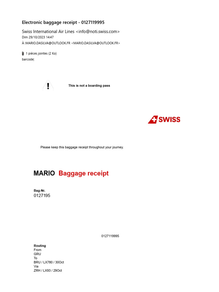 Baggage Receipt | PDF