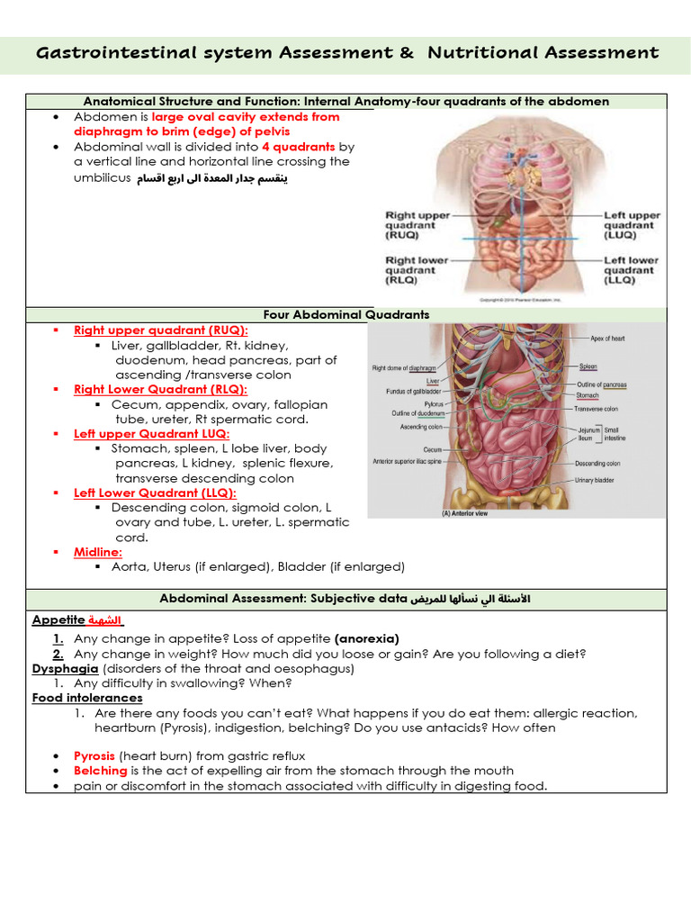 Gastrointestinal System | PDF