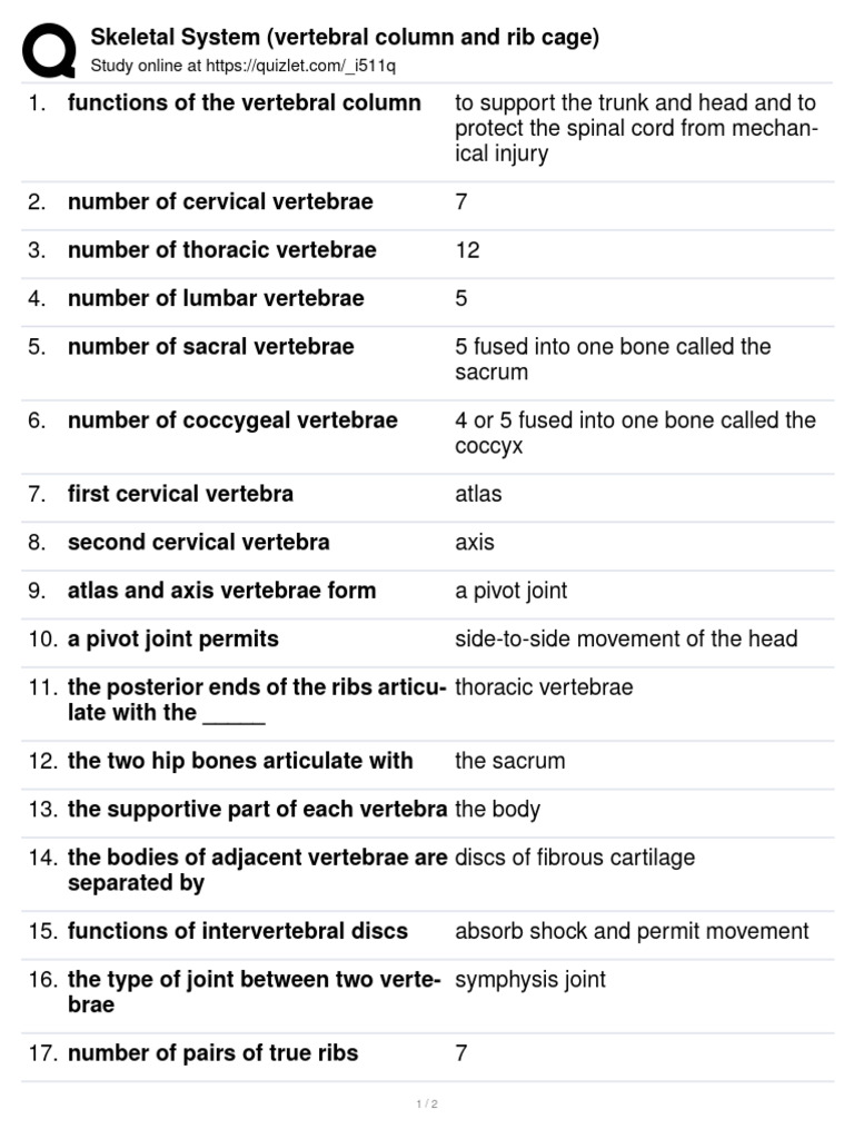 Skeletal System (Vertebral Column and Rib Cage) | PDF