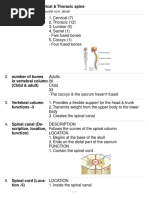 Sinuses Positioning Chart | PDF | Skull | Human Nose
