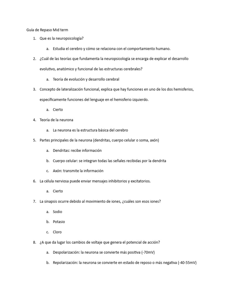 Repaso Mid Term | PDF | Neurona | Cerebro