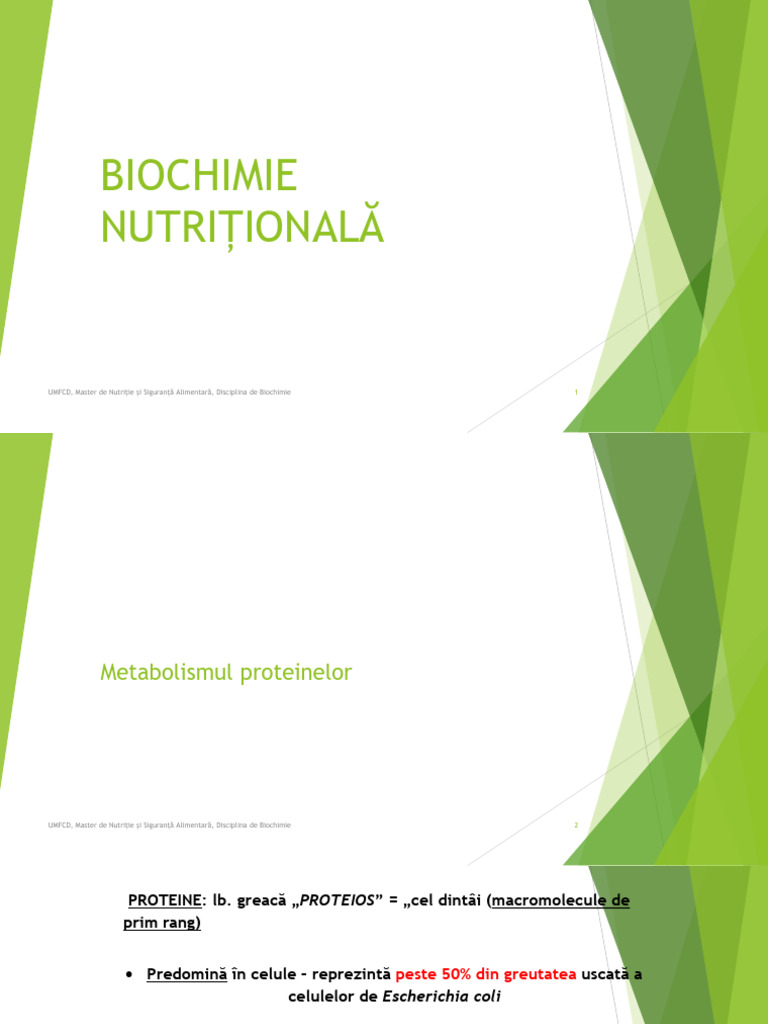 Curs-Metabolismul Proteinelor | PDF