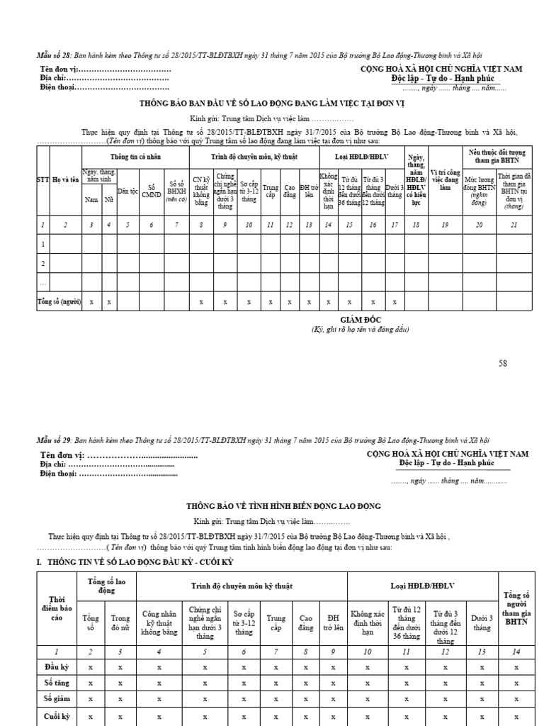 2024.T1.DVVL - Mau So 28 29 | PDF
