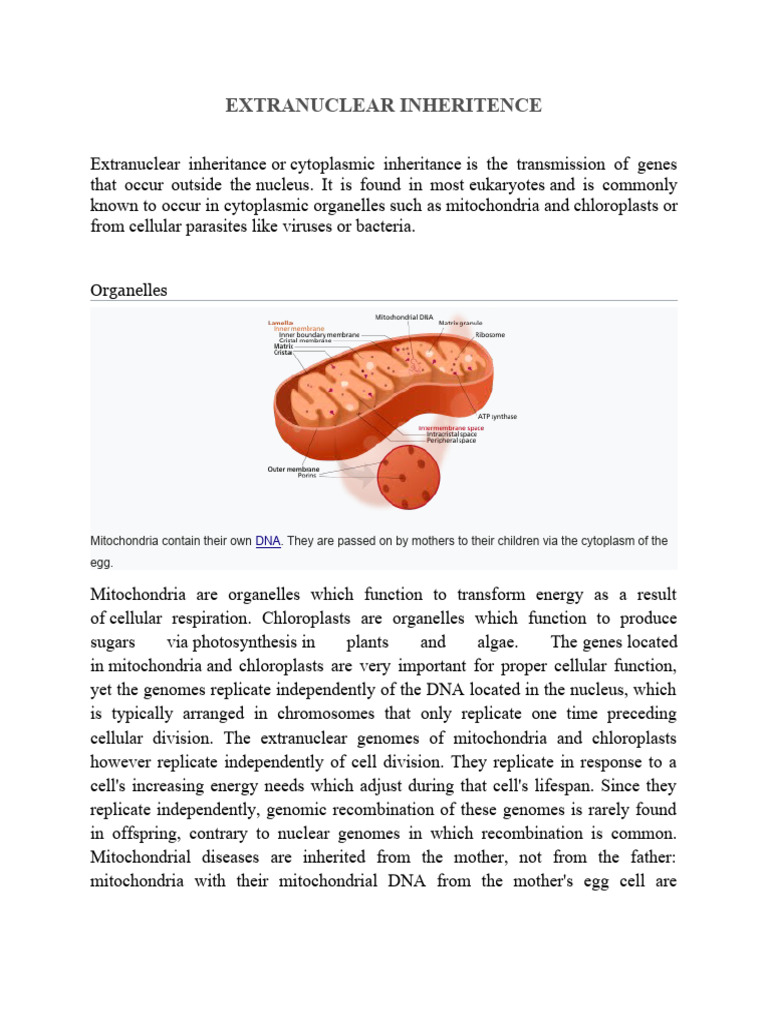 ZET 403 Cyto Extra Nuclear Inheritence | PDF | Science & Mathematics