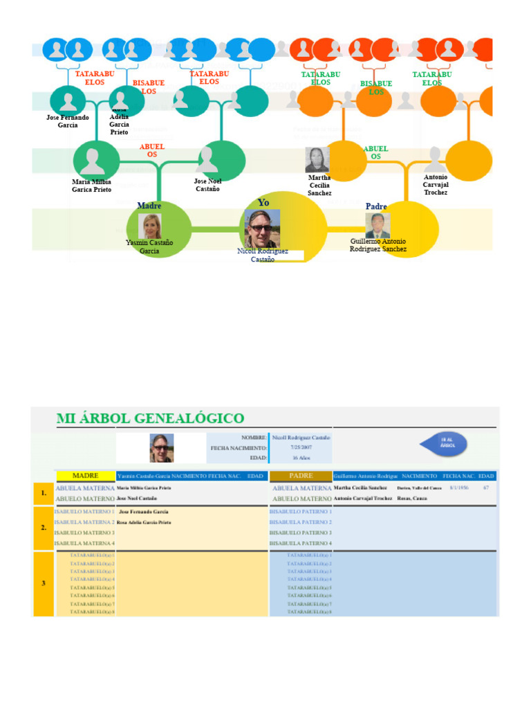 Arbol Geneaologico Nicoll | PDF | Ingeniería de software | Software del ...