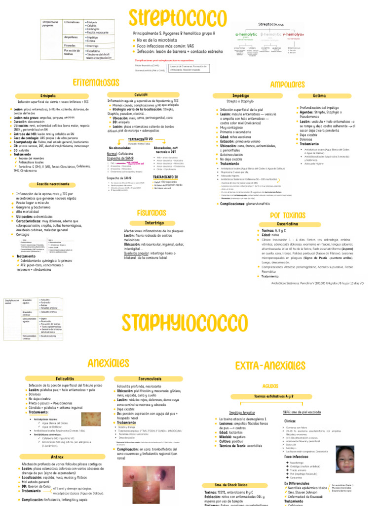 Piodermitis Resumen | PDF