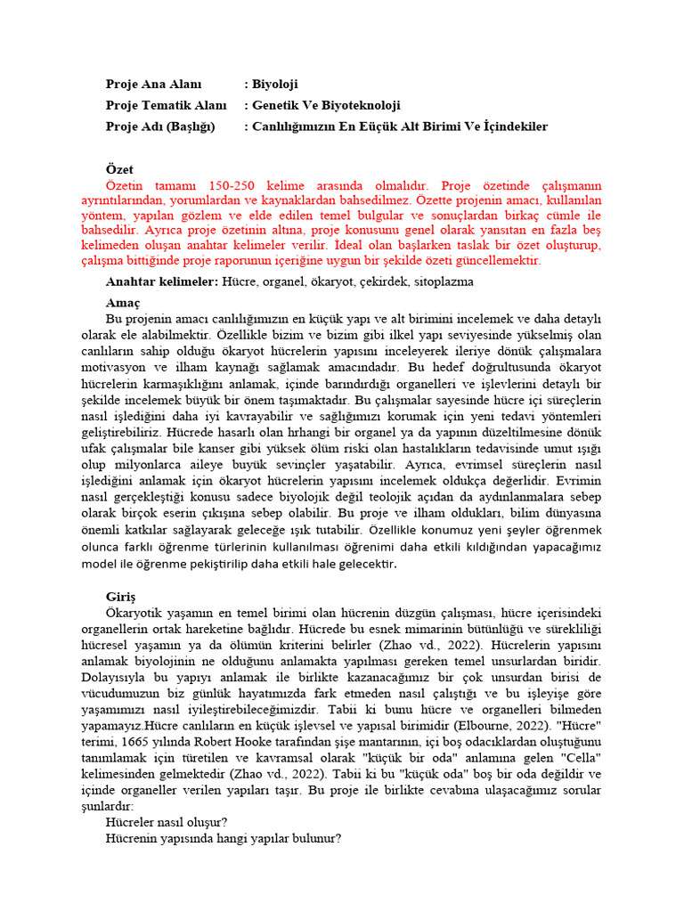 Tubitak Proje Yazma Sablonu | PDF