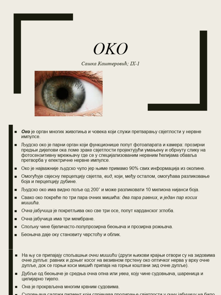 Oko | PDF