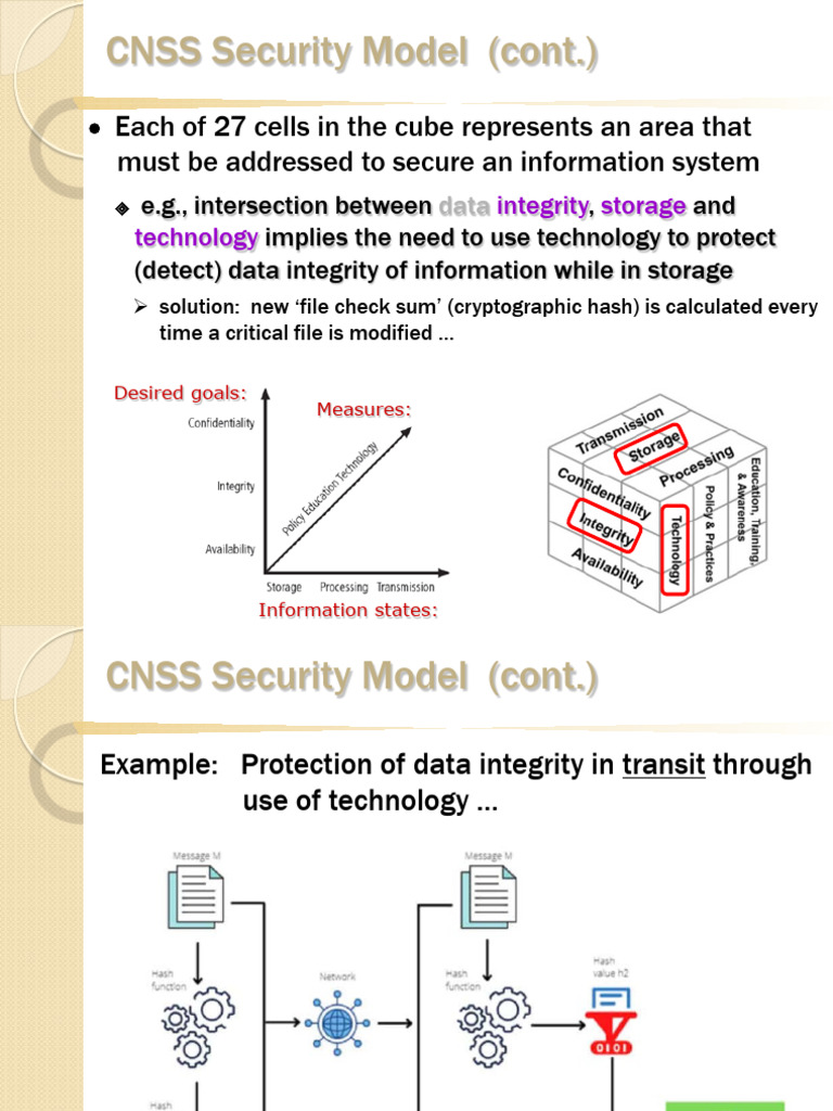 Understanding the CNSS Security Model | PDF | Security | Computer Security