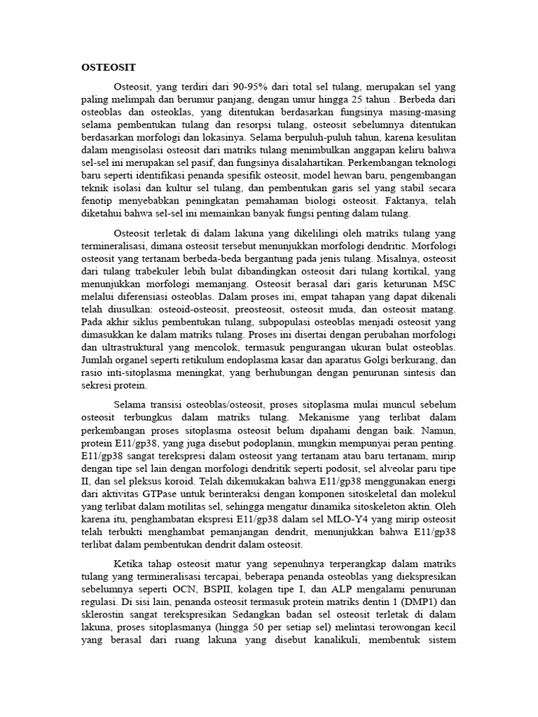 Fungsi dan Biologi Osteosit dan Osteoklas | PDF
