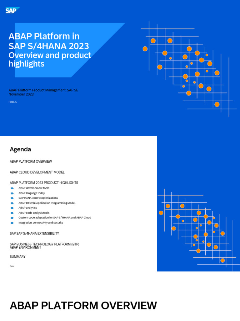 ABAP Platform in SAP 2023 | PDF | Databases | Software