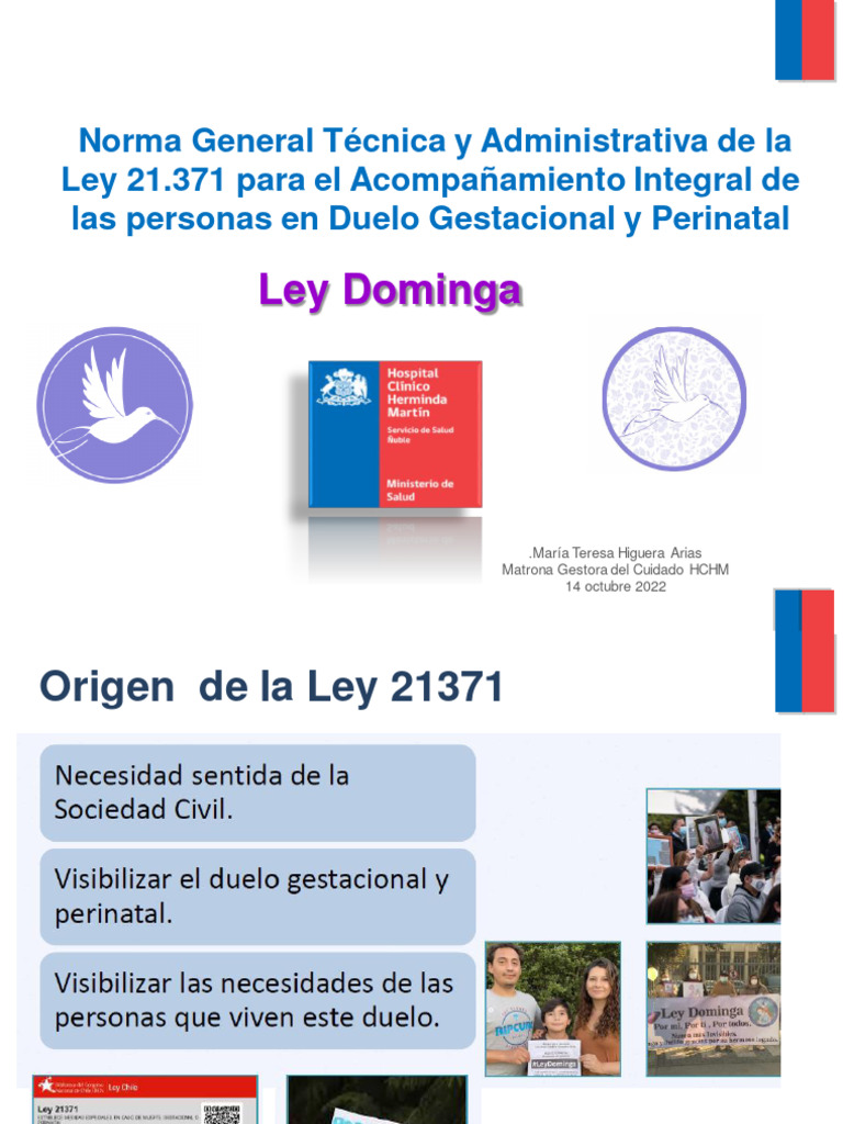 Ley Dominga | PDF | Dolor