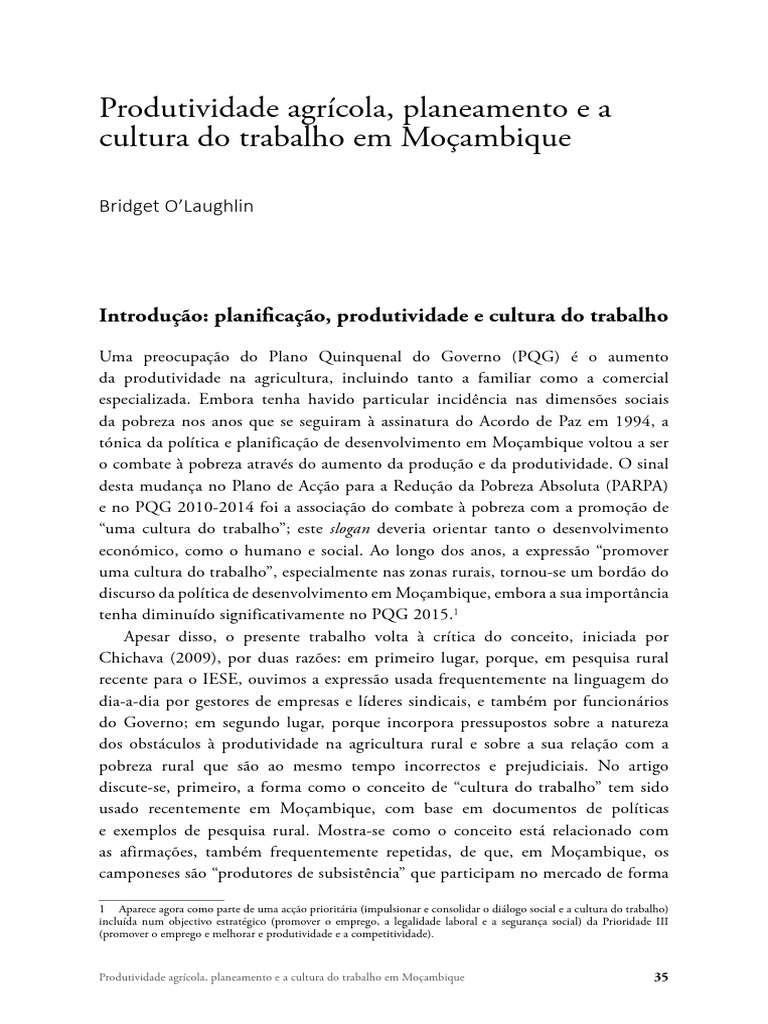 Parte I Produtividade Agricula Bolaughlin | PDF | Agricultura | Moçambique