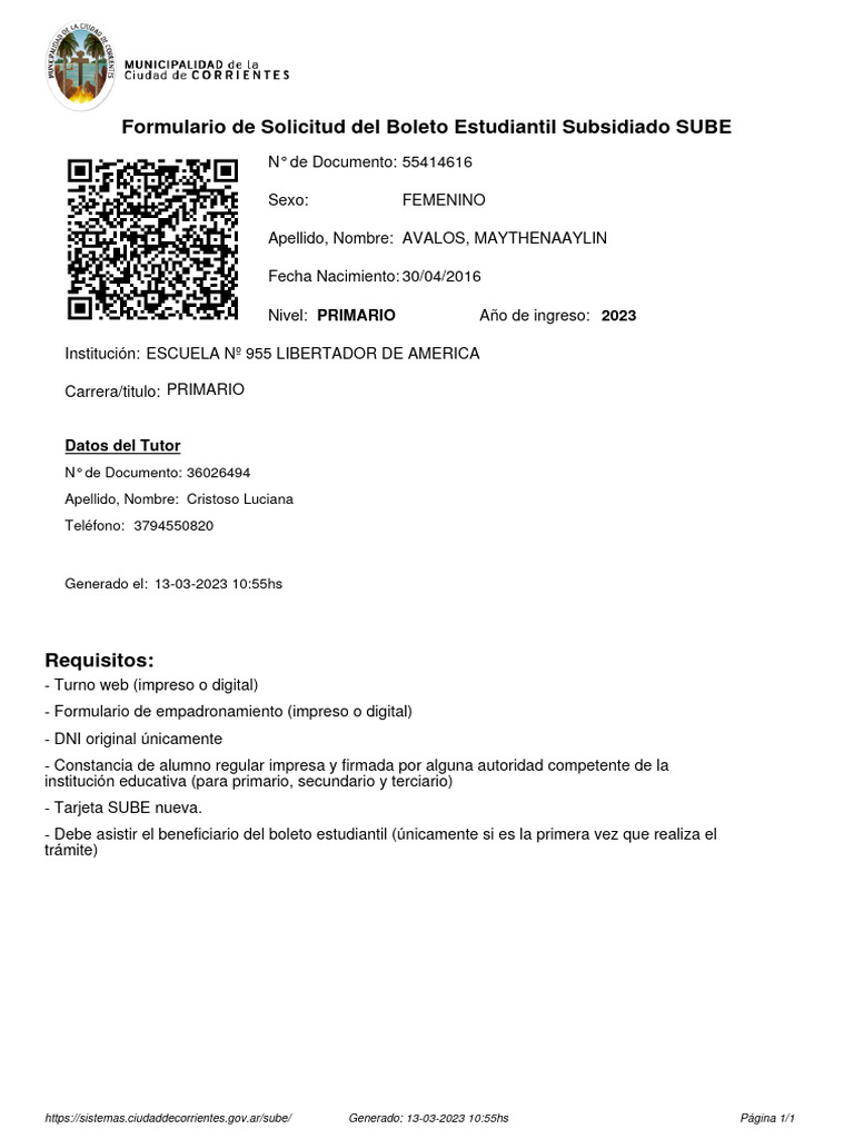 Formulario de Solicitud Del Boleto Estudiantil Subsidiado SUBE | PDF | Salud y bienestar