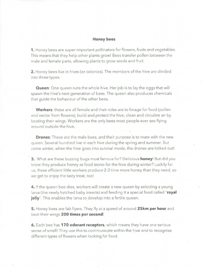 Honey Bees | PDF