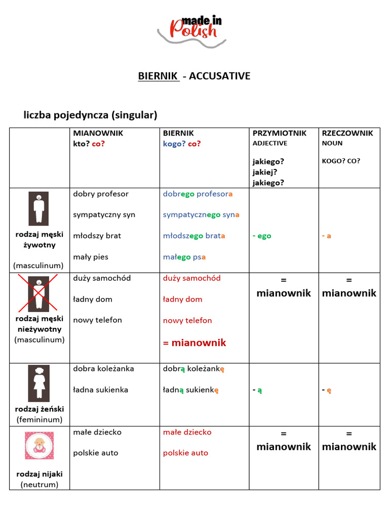 Gramatyka Rzeczowniki Przymiotniki Biernik | PDF