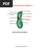 Rédiger un Article Scientifique en Anglais | PDF | Publication académique | Enquête