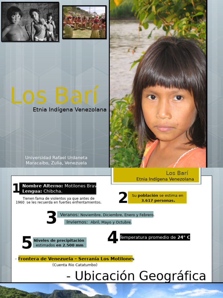 Cultura y Organización de los Barí | PDF | Gente indígena | Pueblos ...