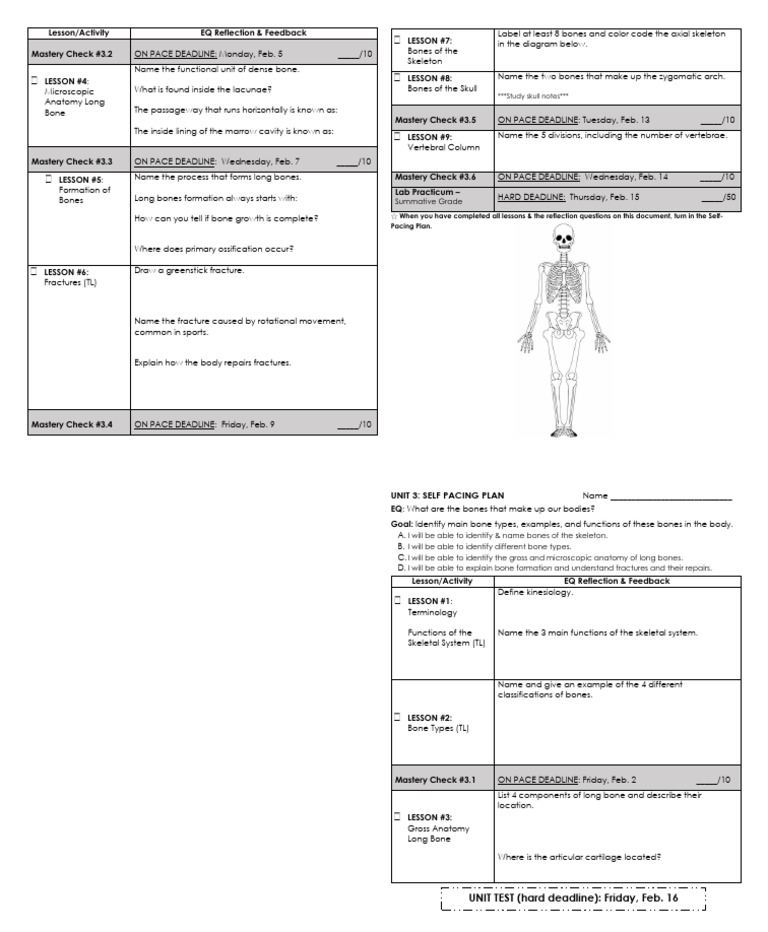 SPP Unit 3 | PDF | Bone | Skeleton