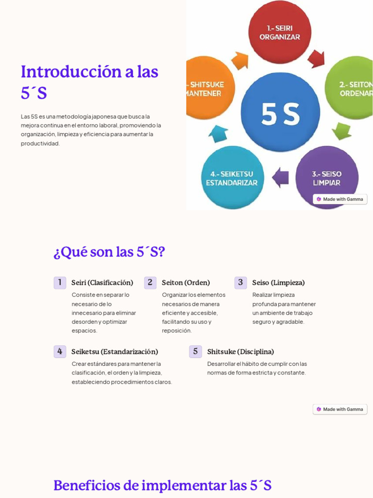 Introduccion A Las 5s Pdf Business Economias