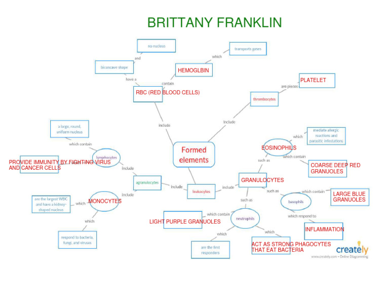 Blood Concept Map Updated | PDF