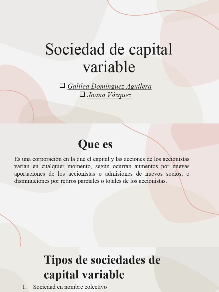 D.M Sociedad de Capital Variable | PDF | Sociedad | Compartir (Finanzas)