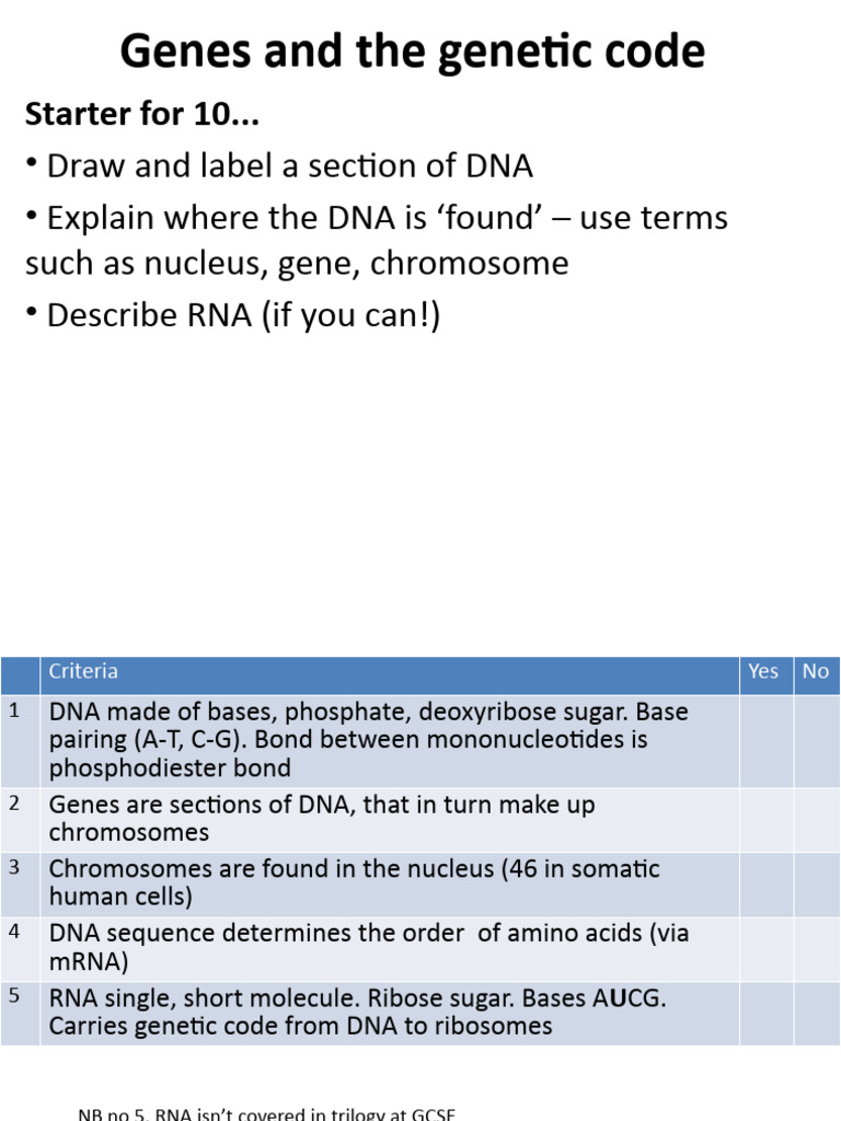 2 Genes and The Genetic Code | PDF | Genetic Code | Gene