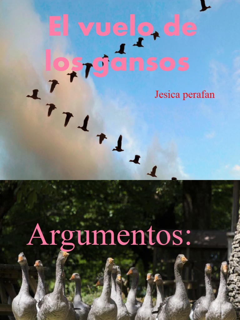 El Vuelo de Los Gansos | PDF