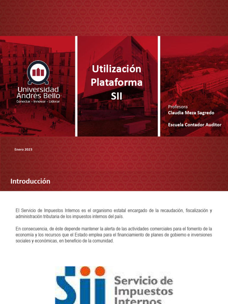 Charla Unab On Line SII | PDF | Impuestos | Economias