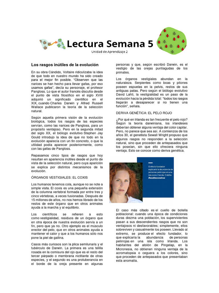 Los Rasgos Inútiles de La Evolución (Semana 5) | PDF | Evolución ...