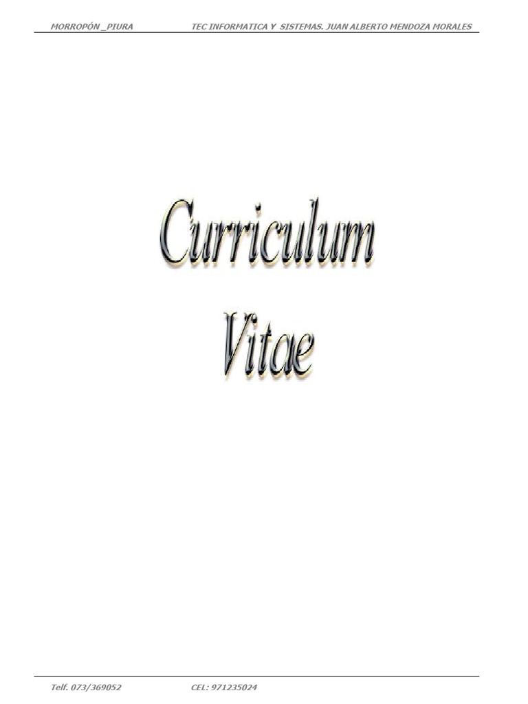 Nuevo Curriculum Vitae-Juan | PDF
