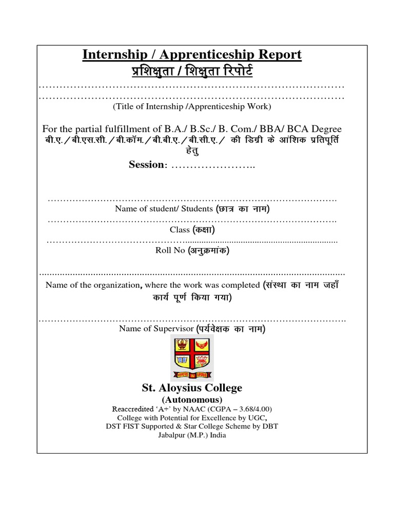 Internship Apprenticeship Final Draft | PDF