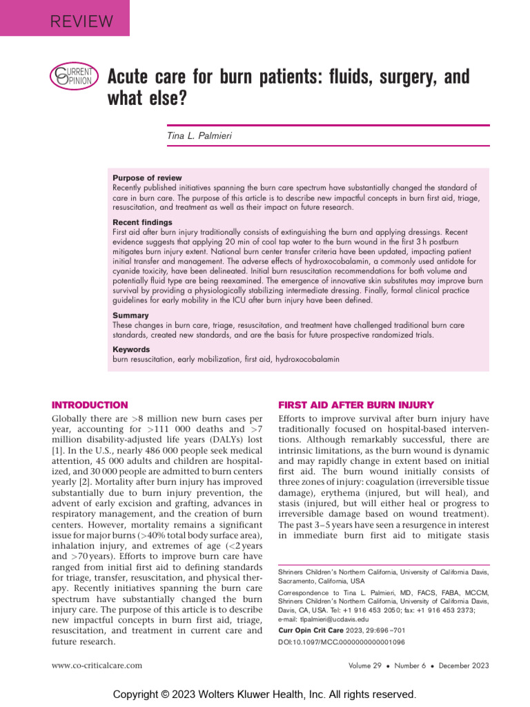 Acute Care For Burn Patients Fluids, Surgery, and What Else | PDF ...