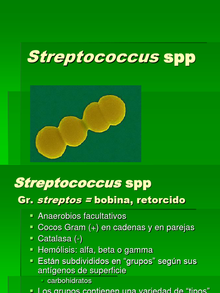 Tema 10 Genero Streptococcus | PDF | Estreptococo | Especialidades Medicas