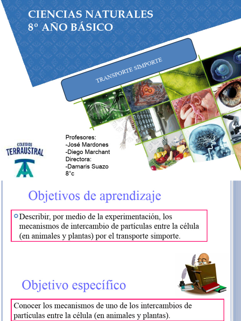 CCNN - 8° - Tipos de Transporte A Través de Membrana. E | PDF | Química ...