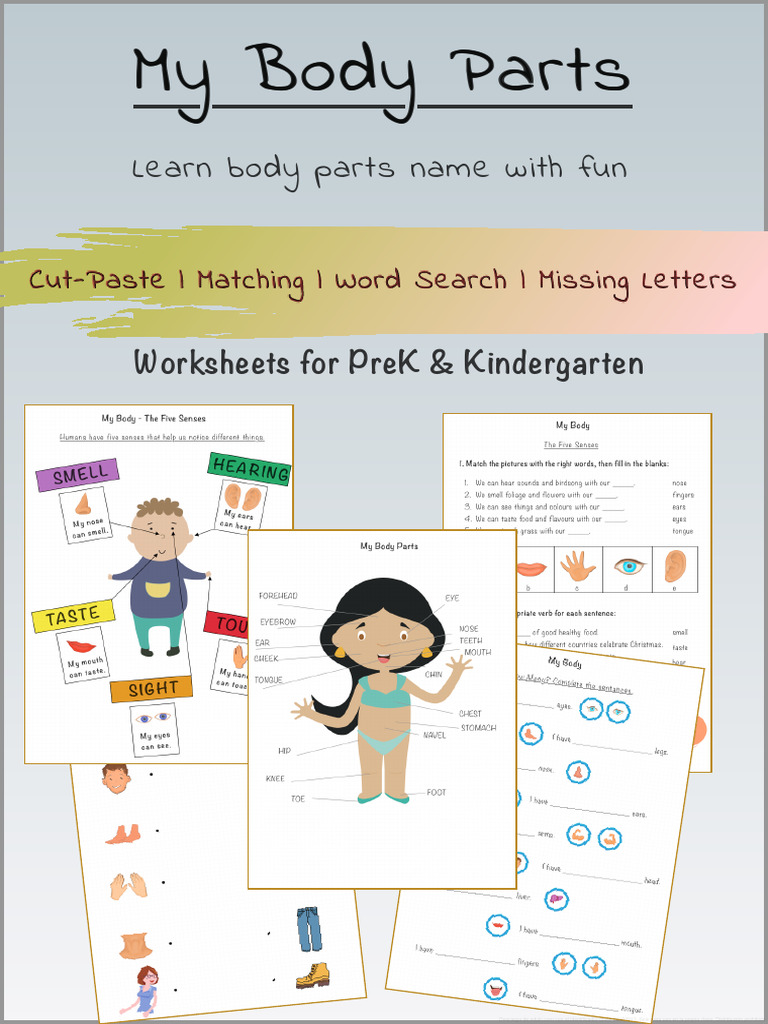 Human Body Worksheets | PDF