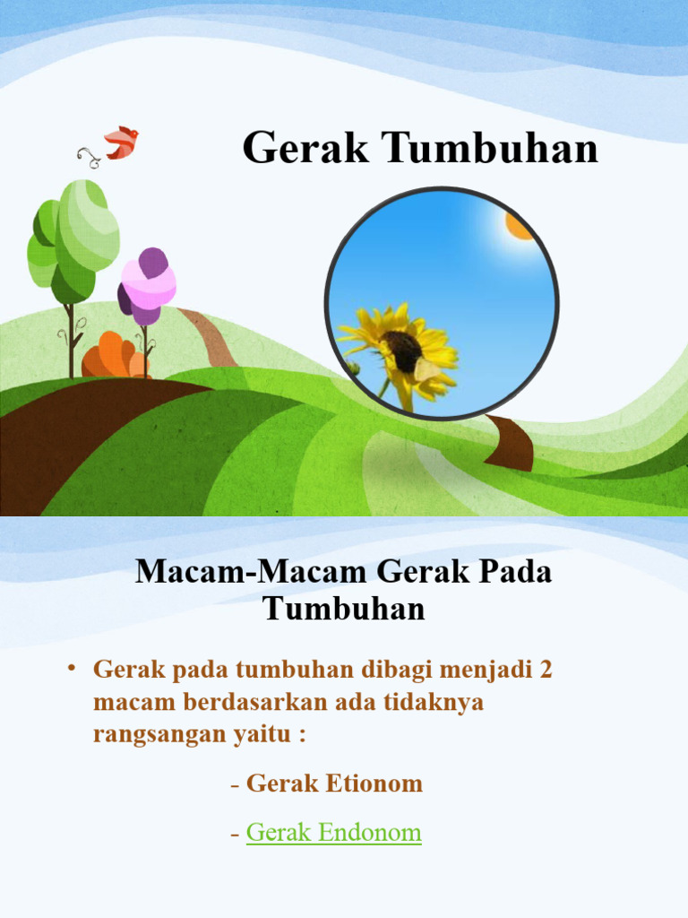 Kelas 8 Gerak Tumbuhan | PDF