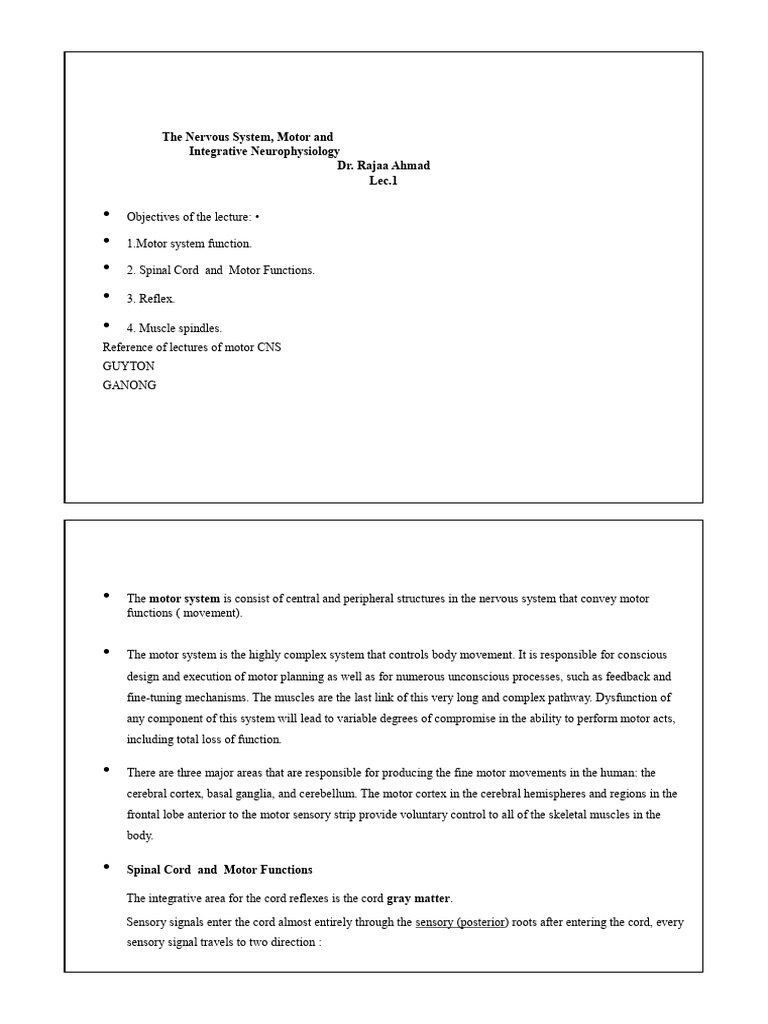 Lec 1 Motor Cns | PDF | Motor Neuron | Central Nervous System