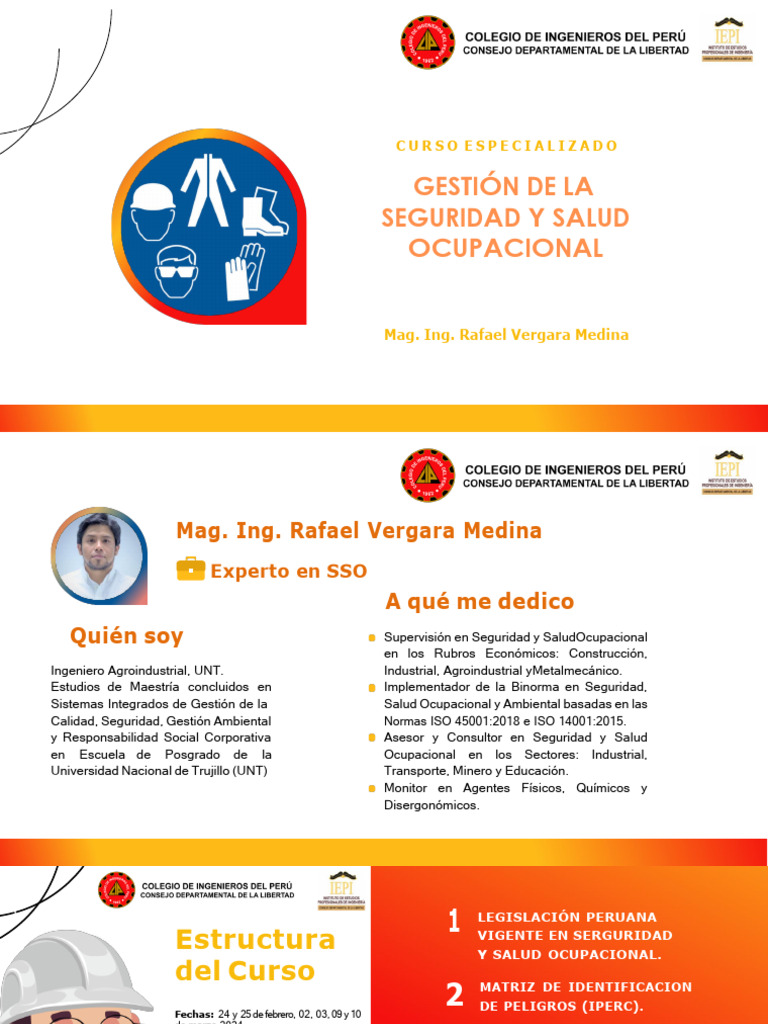 Brochure Curso Gestion de La Seguridad y Salud Ocupacional | Descargar gratis PDF | Seguridad y ...