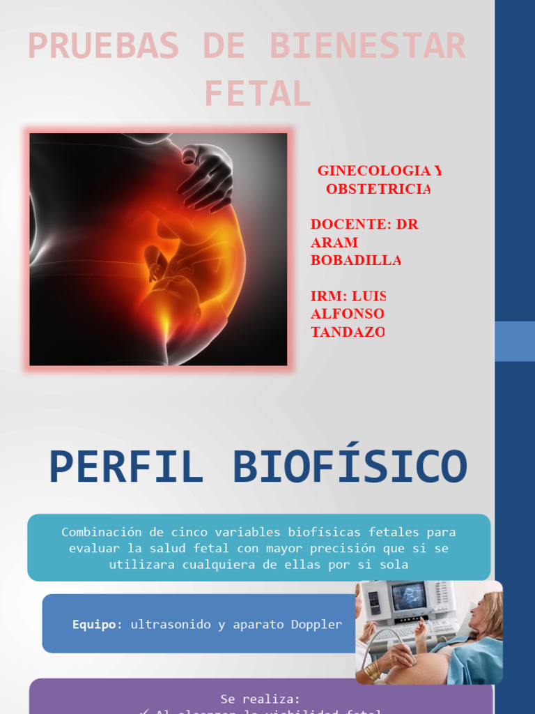 Pruebas de Bienestar Fetal Luis Alfonso | PDF | Feto | El embarazo