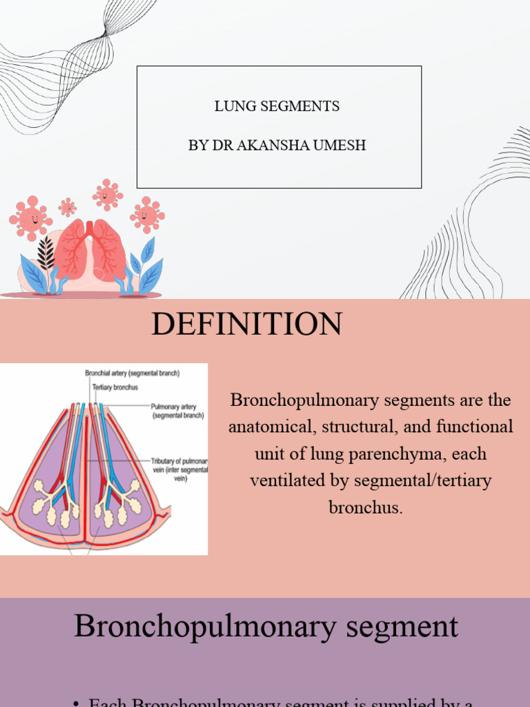 Bronchopulmonary Segments Explained | PDF | Art | Science & Mathematics