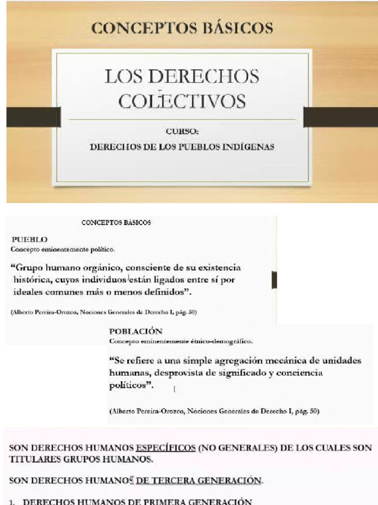 Pueblos Indigenas Clase4 2-02-21 | PDF