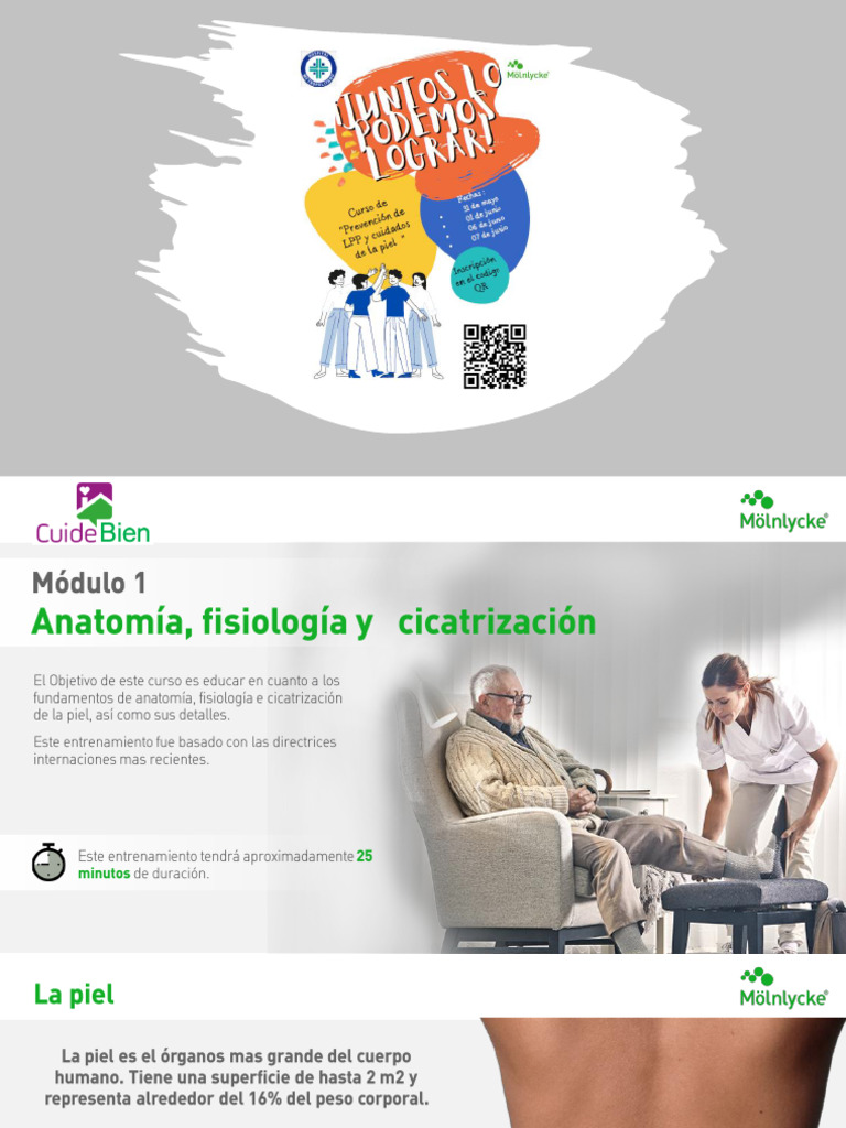 Módulo 1 Anatomia Pdf Nutrición Dieta Y Nutrición