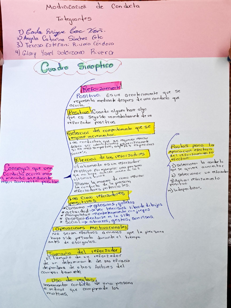 Cuadro Sinoptico Modificación de Conducta | PDF