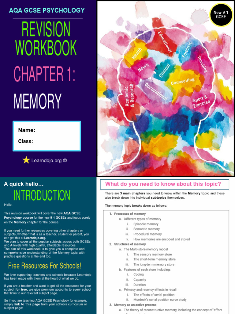 Learn Dojo Revision Pack - Memory | PDF | Memory | Recall (Memory)